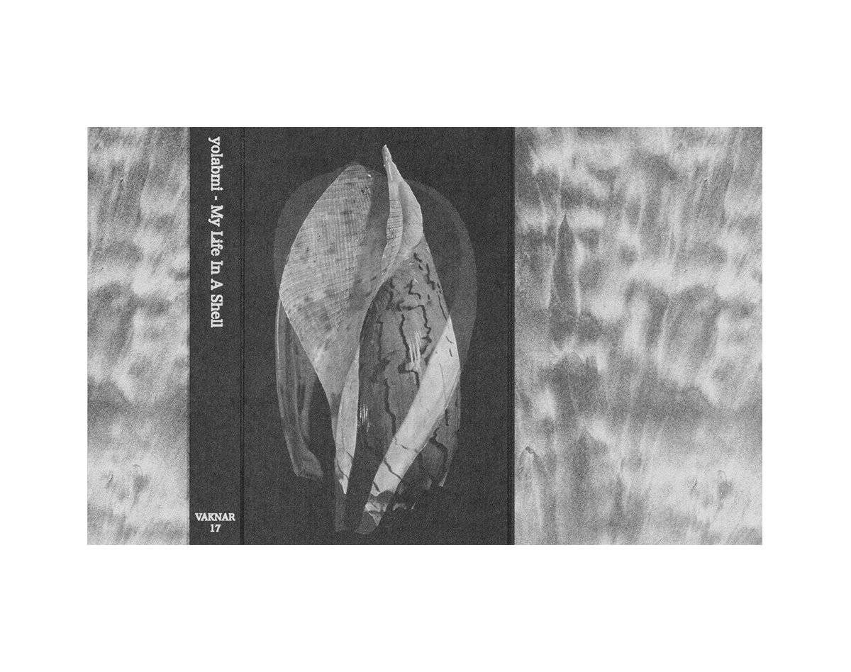 Life In A Shell | yolabmi | VAAGNER