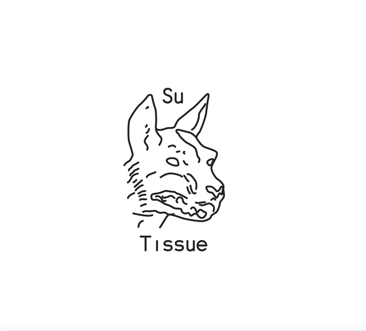 Artists | Su Tissue Records