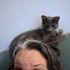 Actor-Caster | Generationals