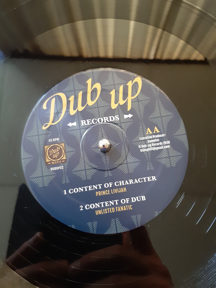 12" Vinyl release on Dub Up Records - vinyl only ! | Unlisted Fanatic