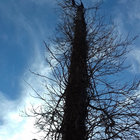 Vesperith | Vesperith