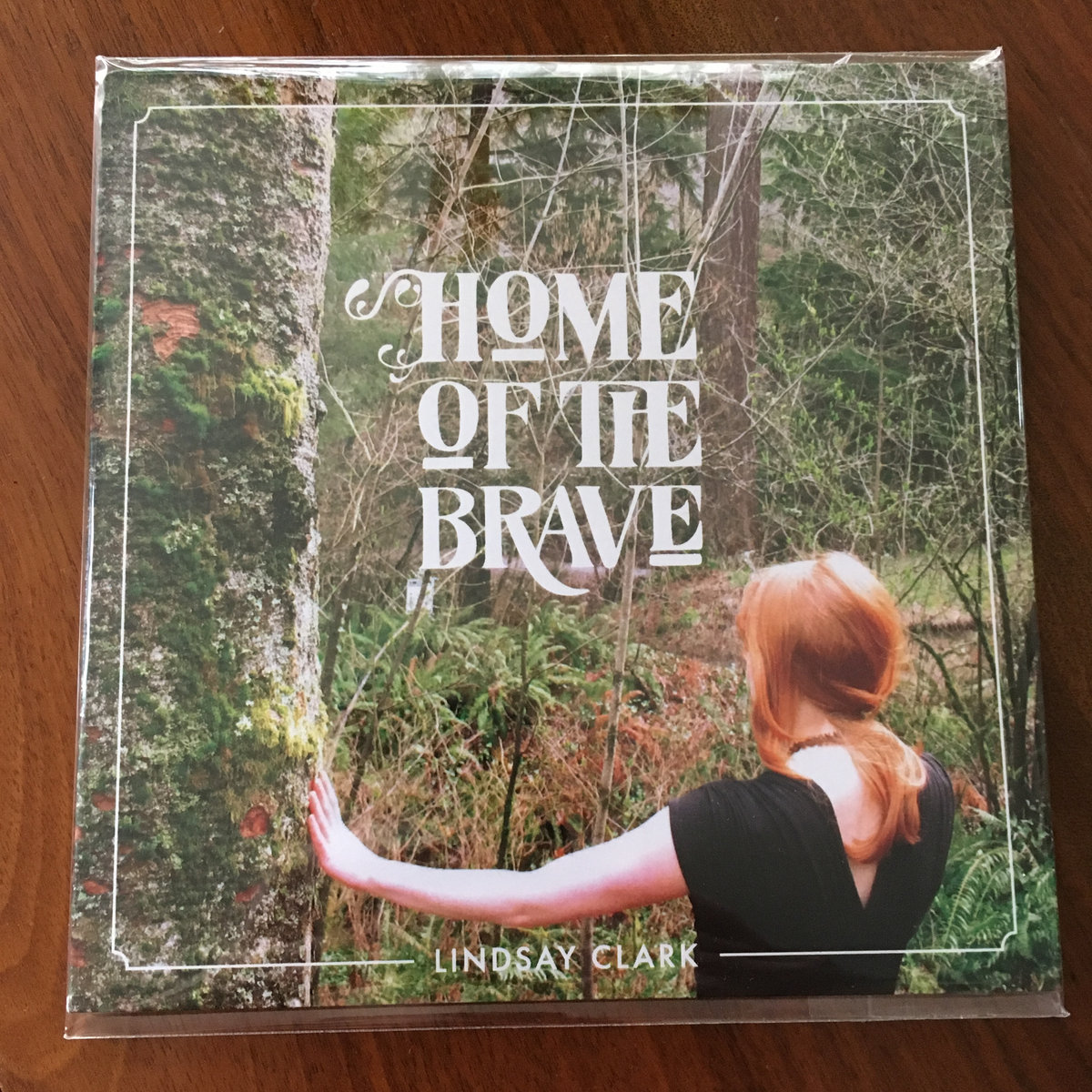 Home of the brave book cover - mightyose