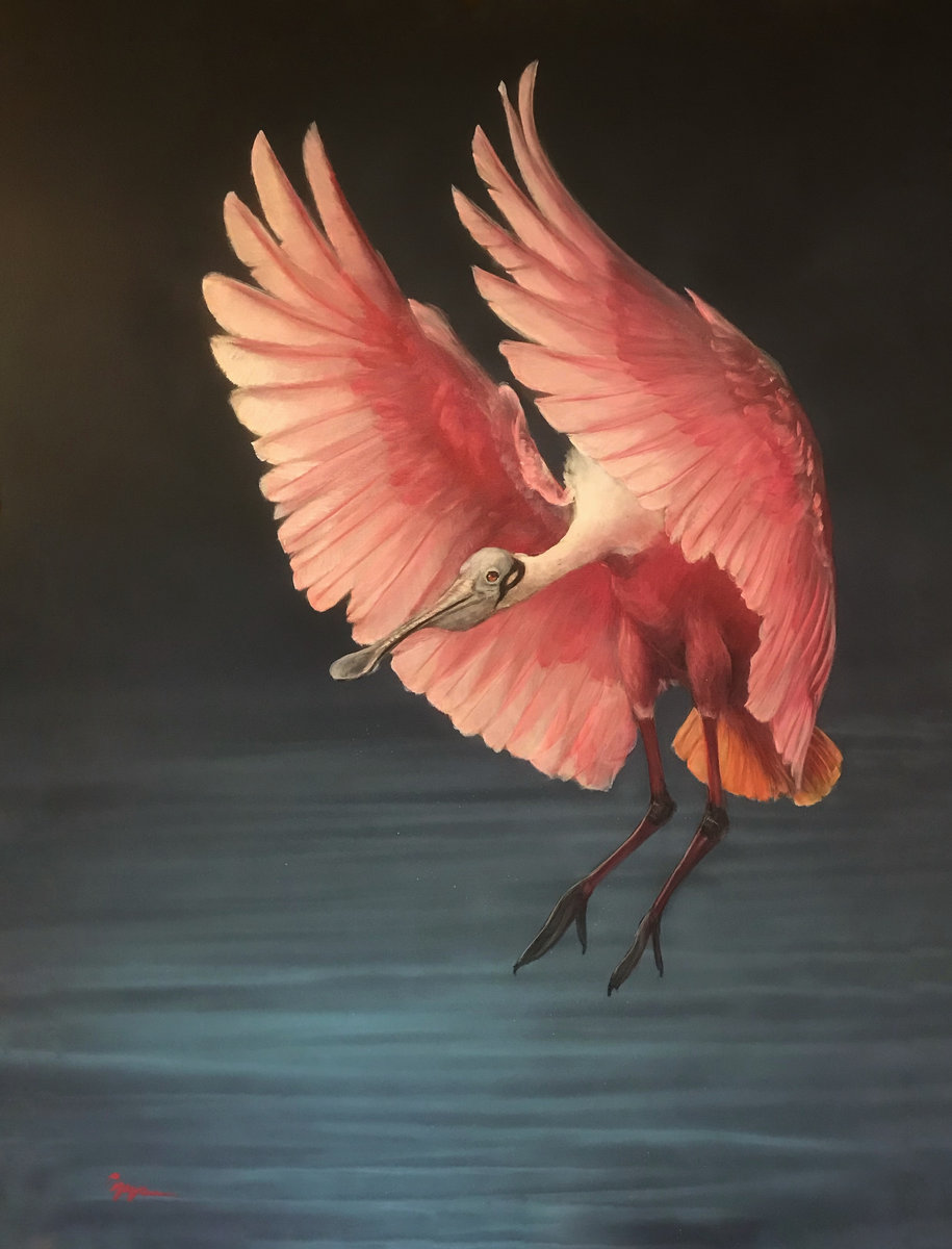 No Power | Spoonbill