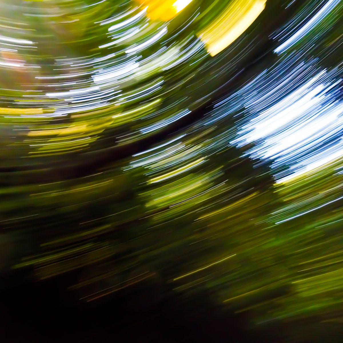 Music | Tyrell Black