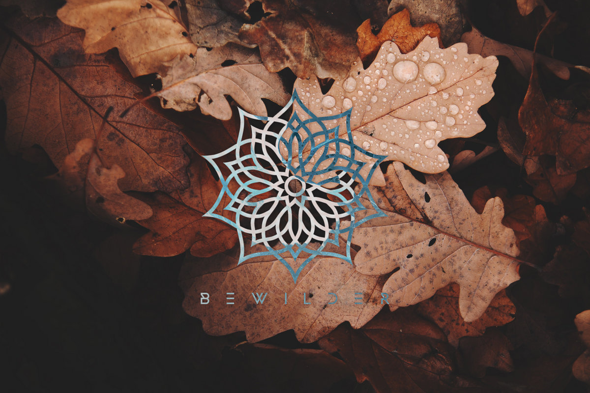 Bewilder | Bewilder