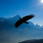 NIGHTLIFE | YURAGI (揺らぎ) | Sango Records