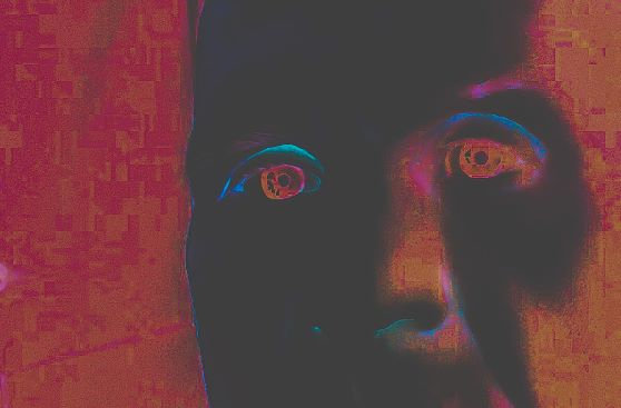 The Canary & The Cage | Brian P Matheny