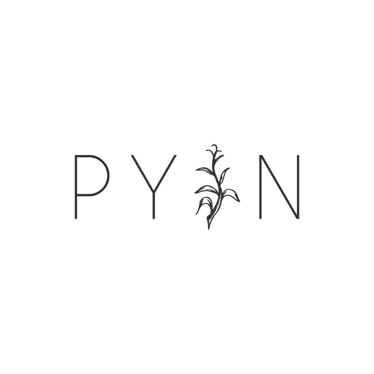 Projection: First Light | PYIN