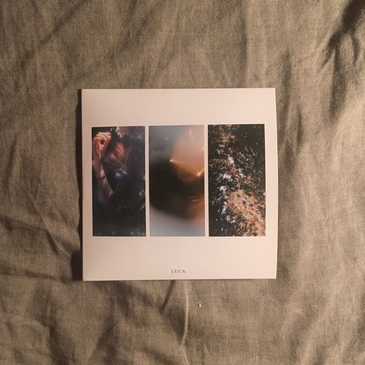 So, I began | Luca Delphi