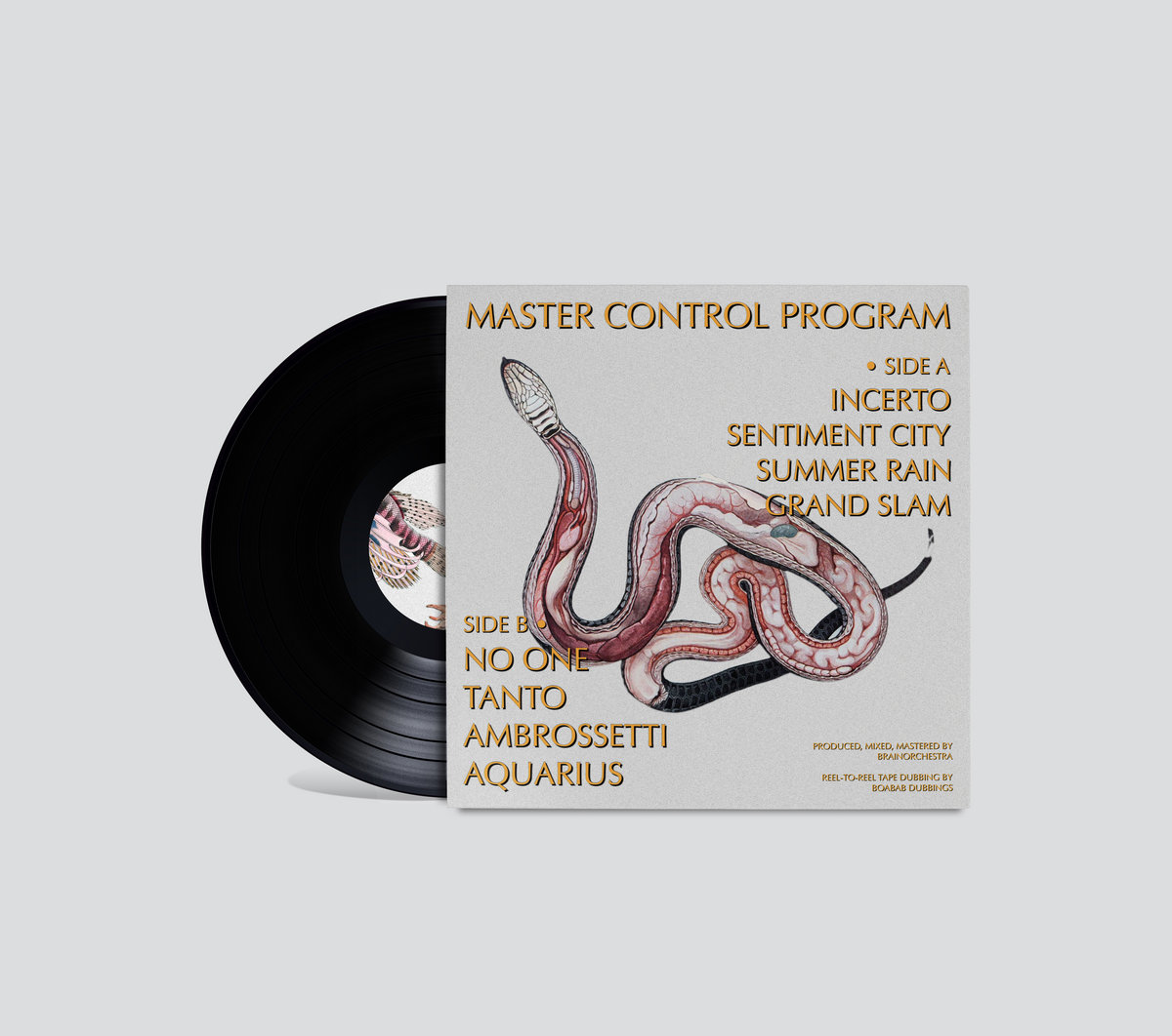 Master Control Program | brainorchestra | brainorchestra.