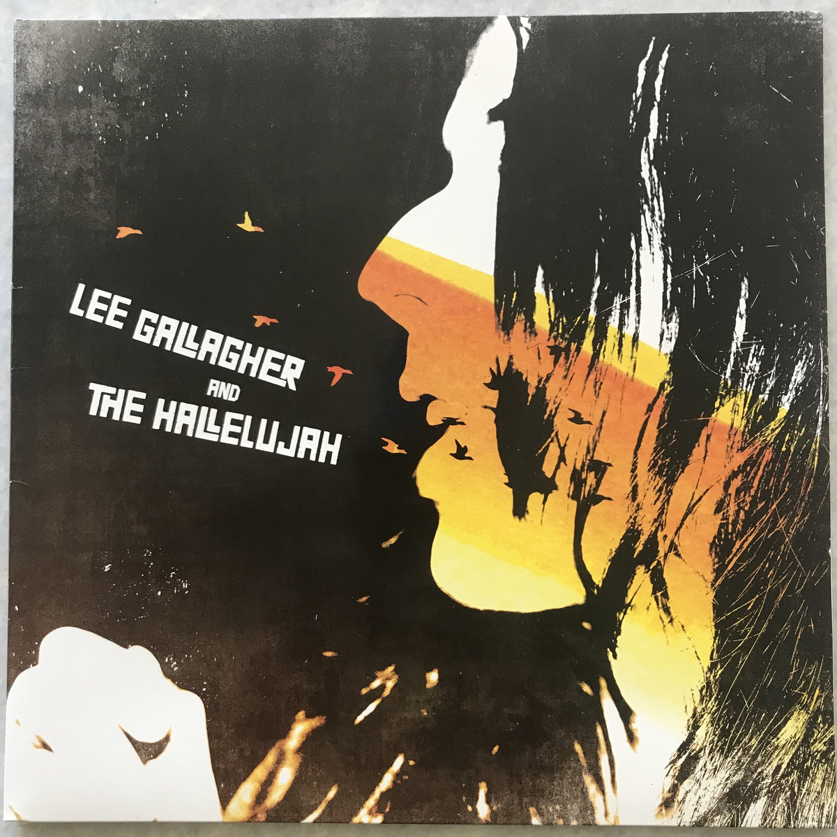 Lee Gallagher and The Hallelujah | Lee Gallagher and The Hallelujah