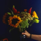 A I A : Alien Observer | Grouper