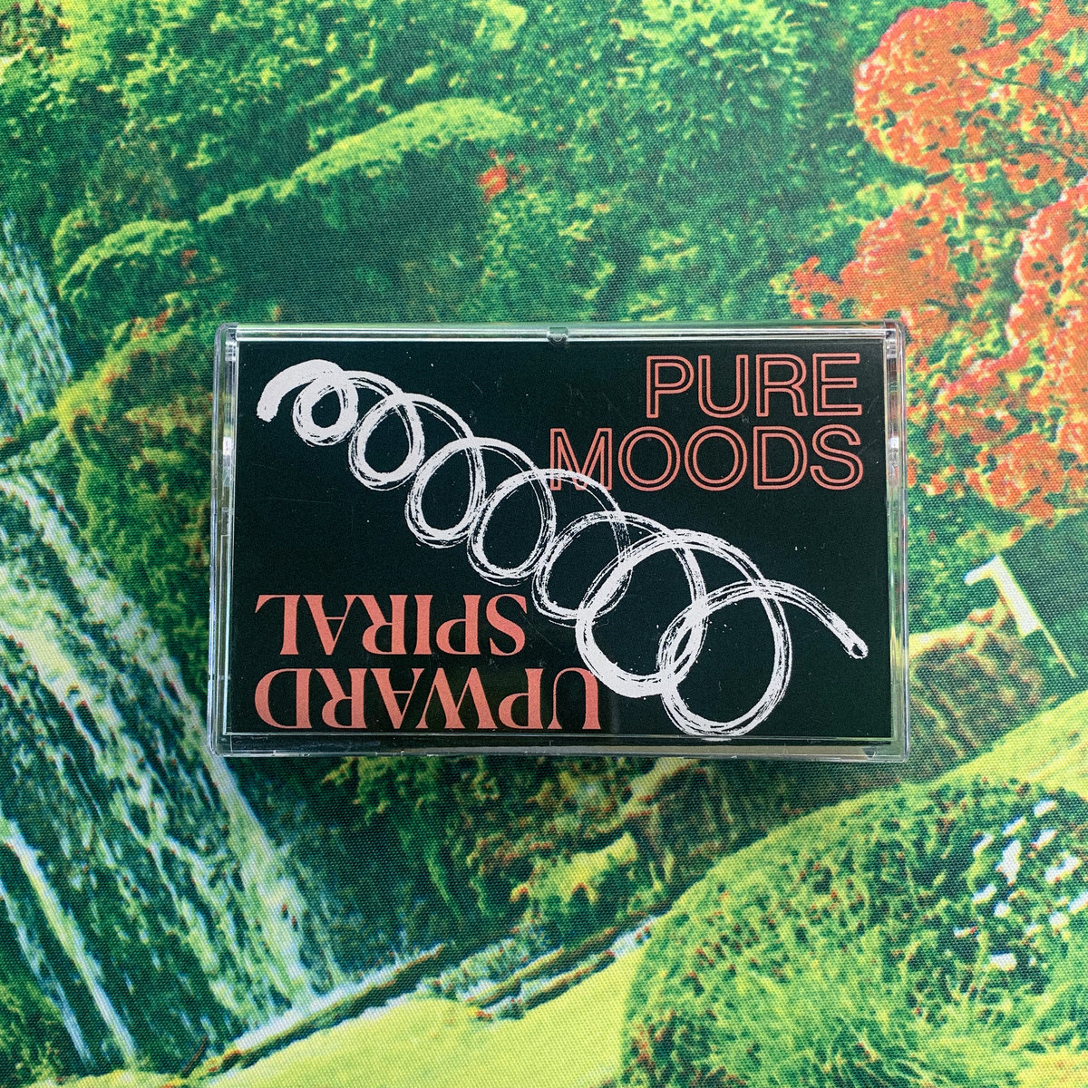 Backwards World | Pure Moods