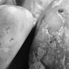 Microtonic | bdrmm