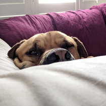 Arktron's collection | Bandcamp