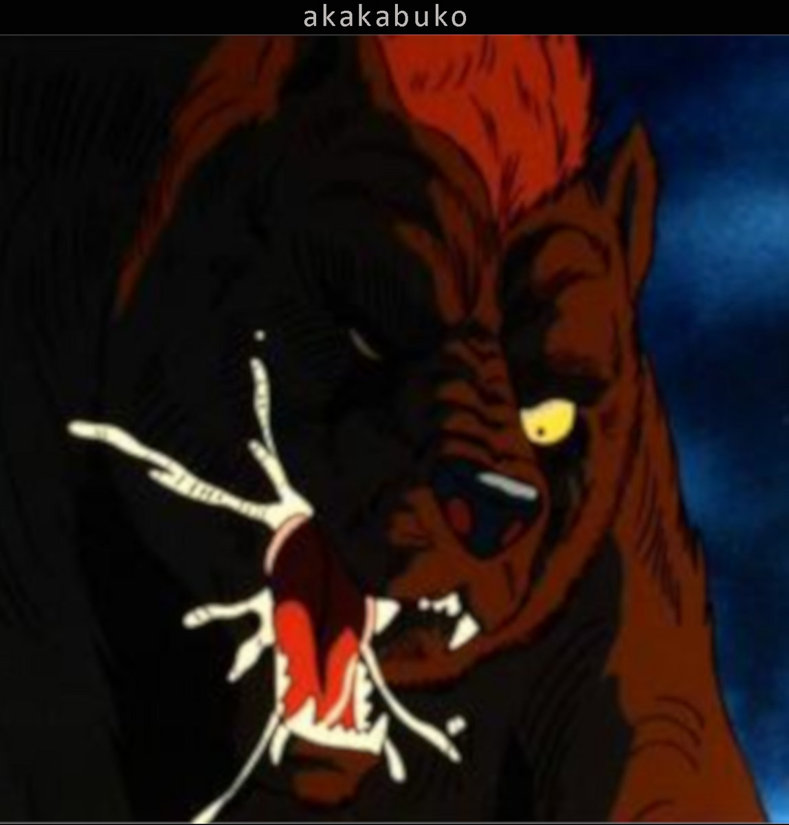 akakabuto | akakabuto