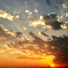 Rain World - Selections from the OST | James Primate