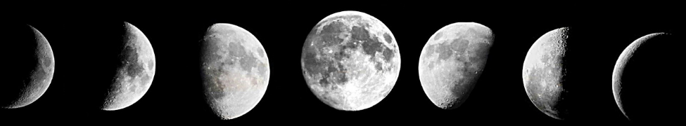 fghgj | DR | 7MNS Music