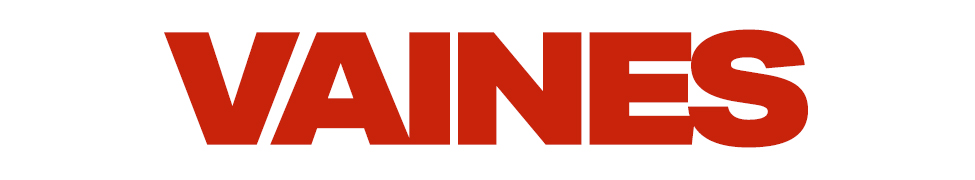 Party That Never Ends (feat. Zeli) | Vaines