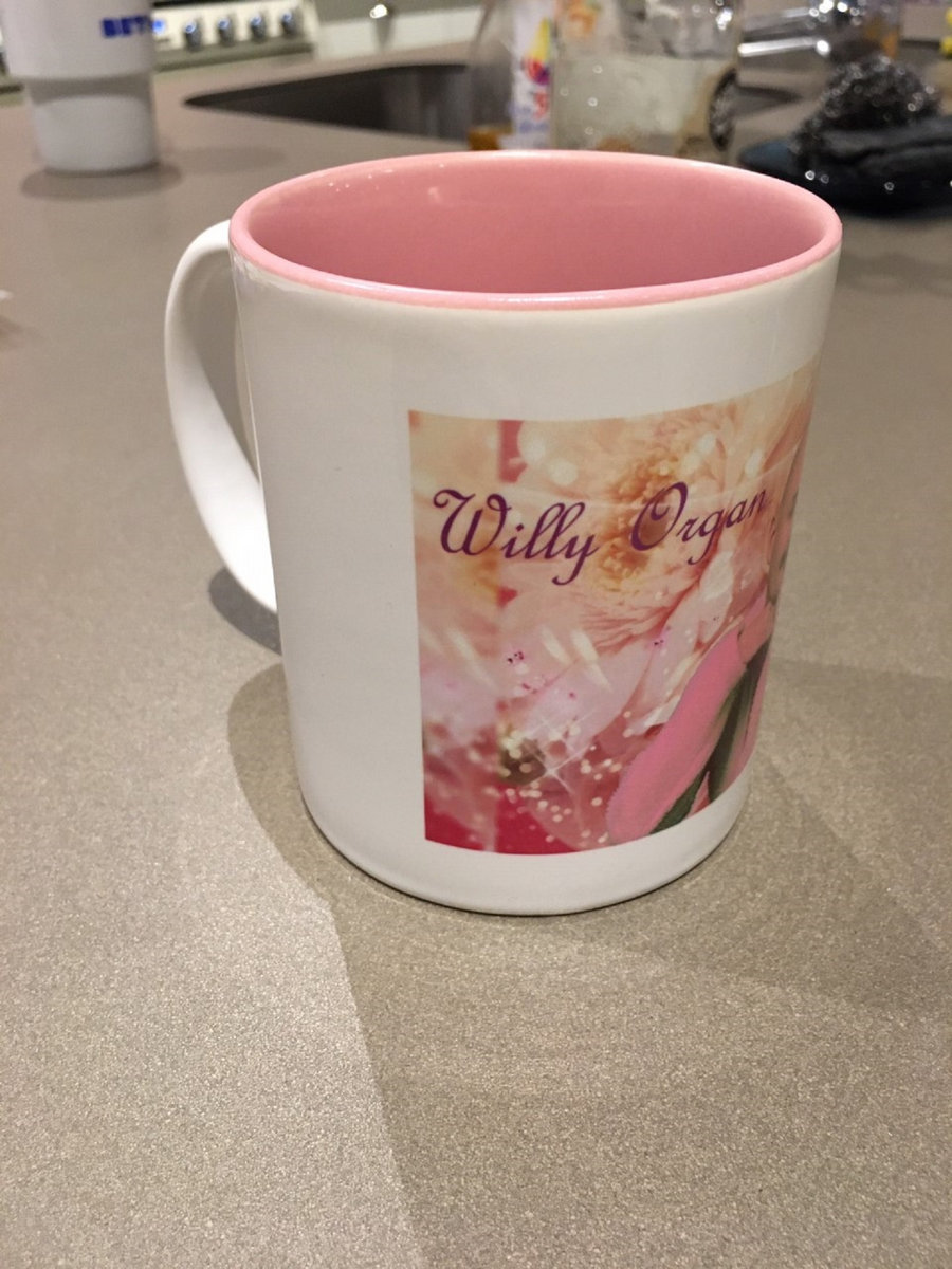 De Mok | Willy Organ