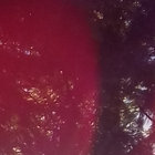 Ugly Season | Perfume Genius