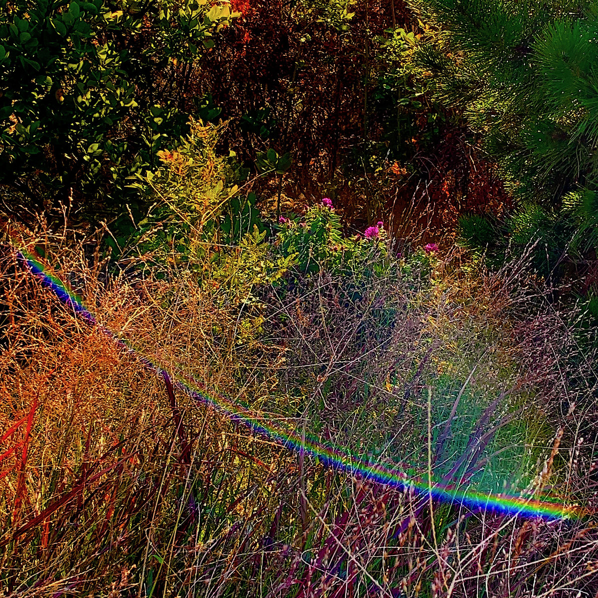 Late Night Demos | Metropolitan Project