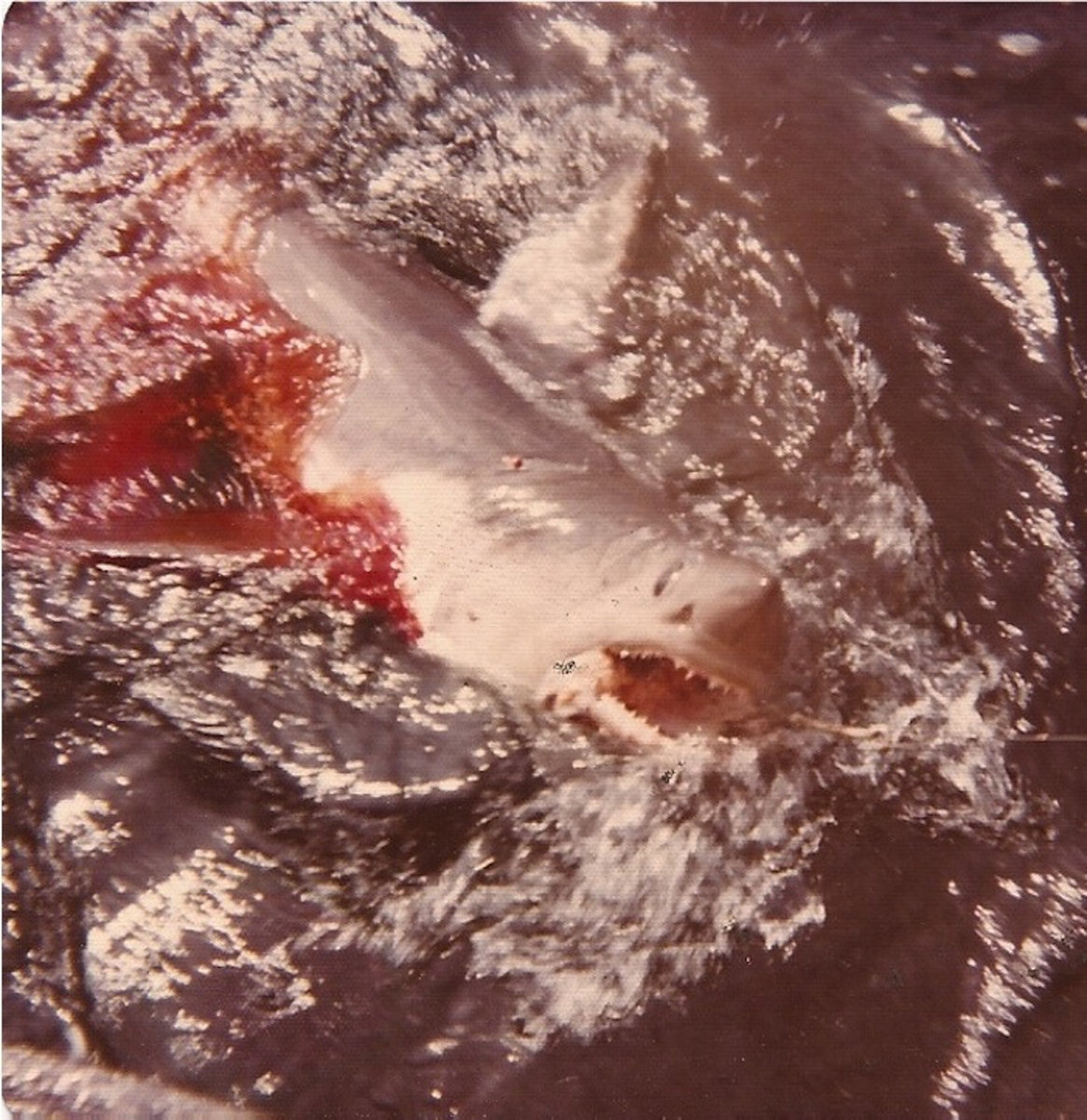 The Philosophy of Awe | David Endris