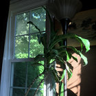 DREAMCAST SUMMER SONGS | Devon Hendryx