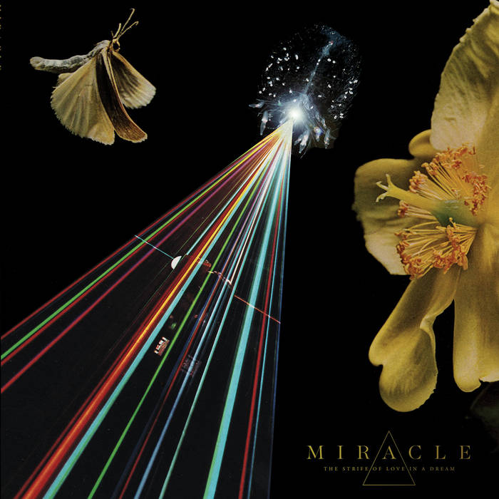 Album of the Day: Miracle, “The Strife of Love in A Dream” | Bandcamp Daily