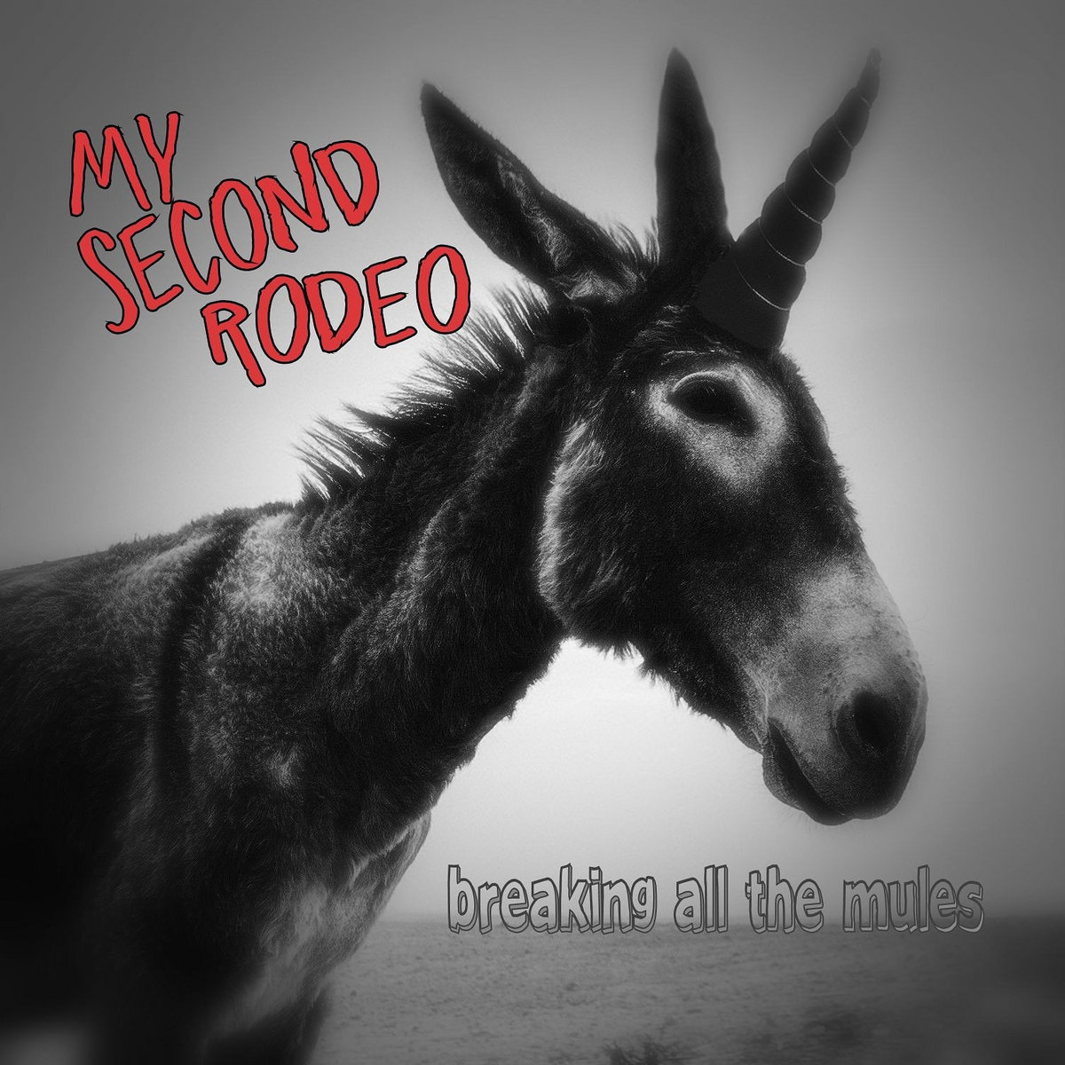 Breaking All the Mules | My Second Rodeo