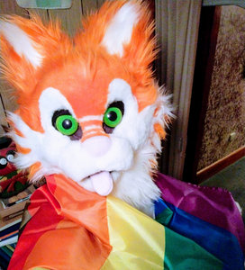 Music | Landon Softpaws