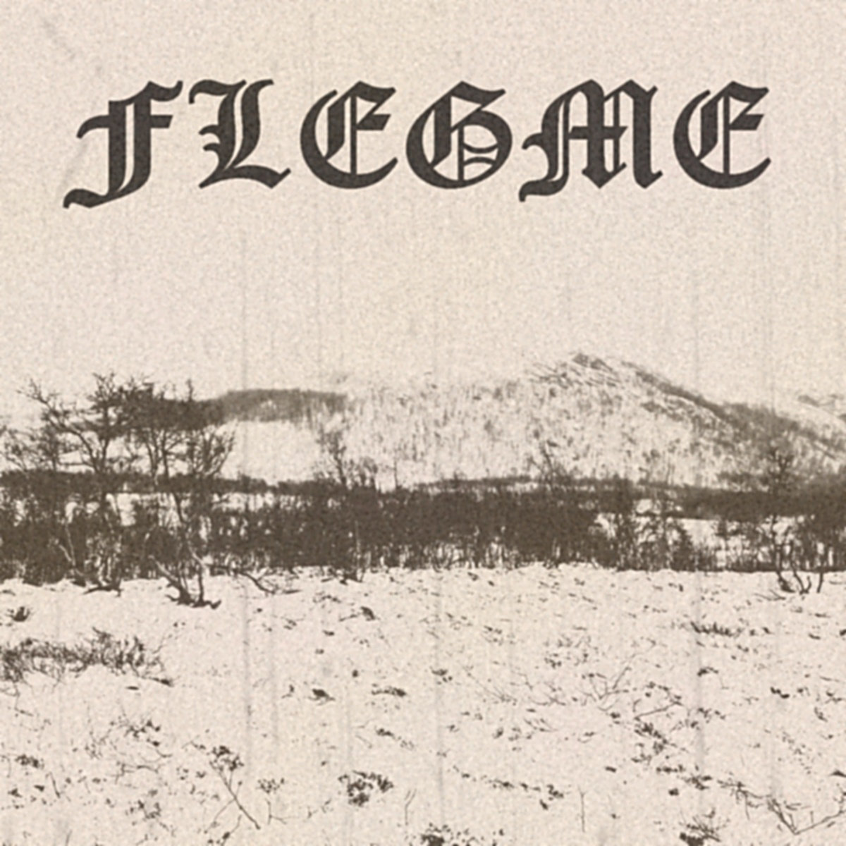 FLEGME (EP) | Flegme