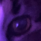 Interdimensional Invocations | Xoth