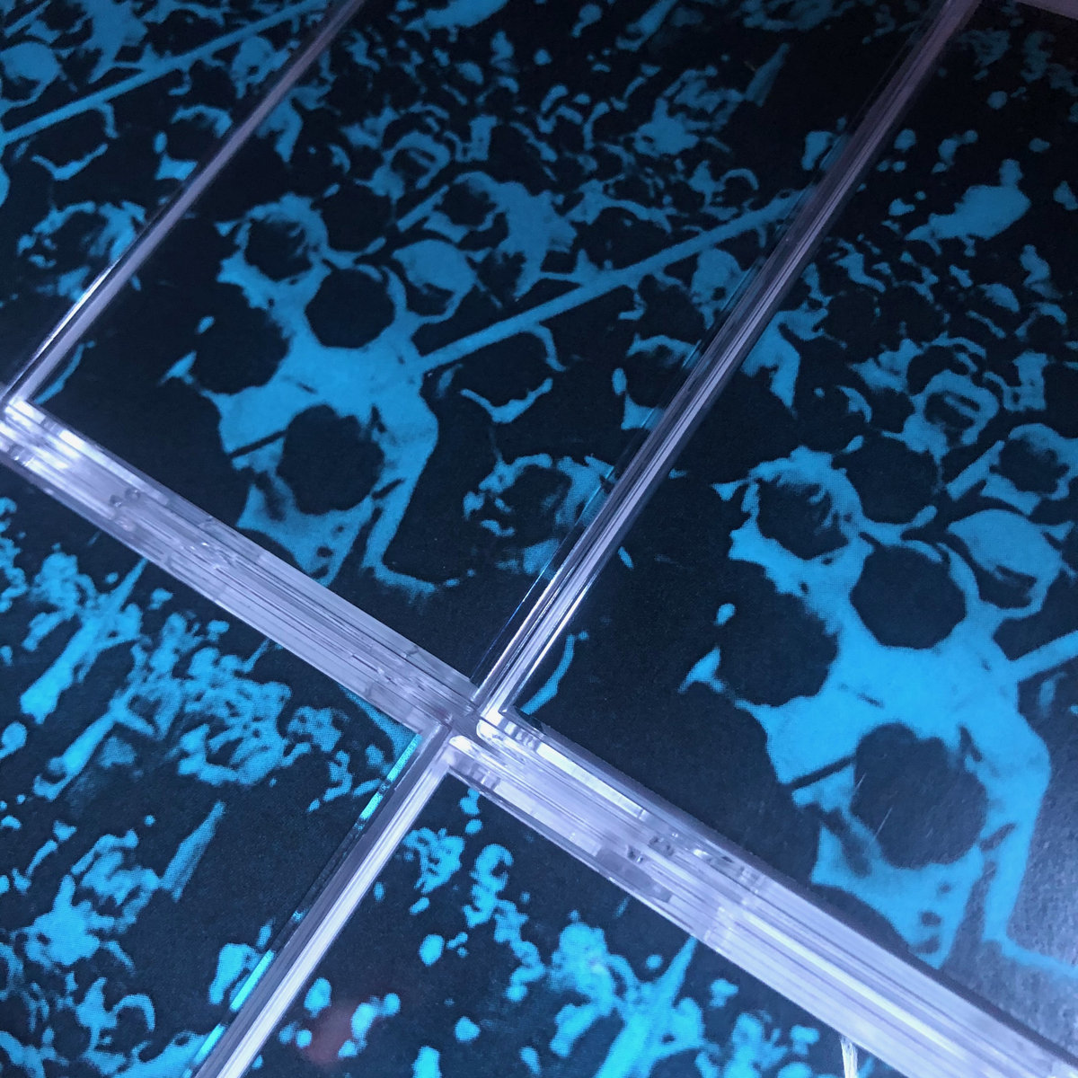 ON CATCHING FLIES | TWIN APERTURE | Lurker Bias