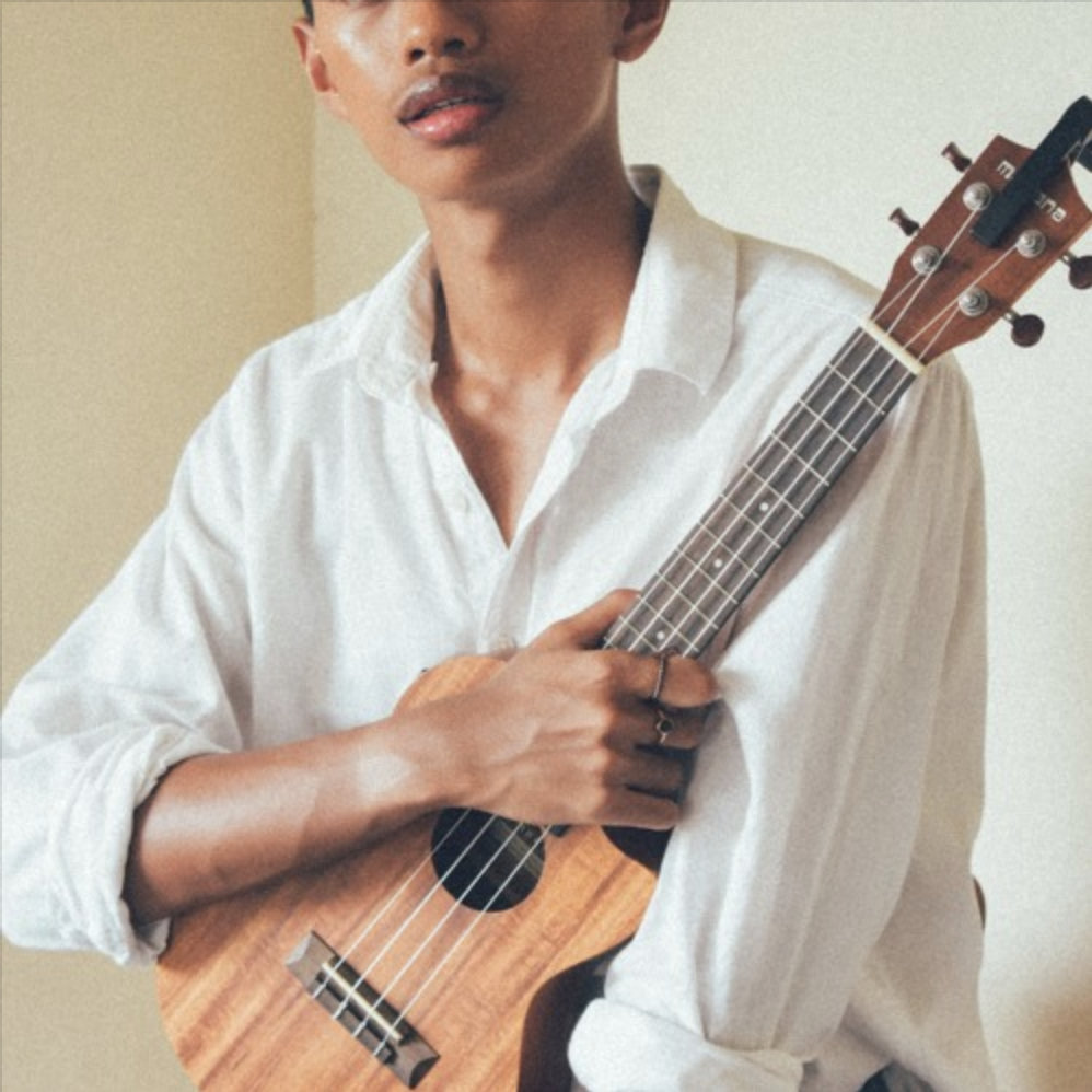 lameer - acoustic demo | lameer