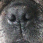 Splinters From An Ever-Changing Face | End