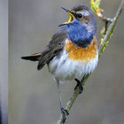 Sharp Like A Razor | Clouds | Headstrong