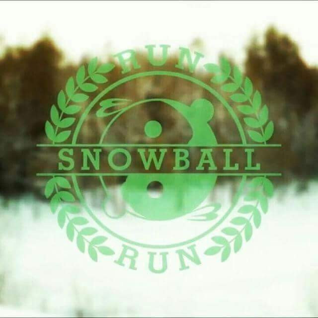 2020 Demo | Run Snowball Run