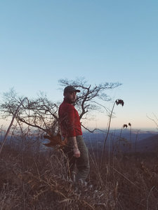 Music | Raven Coleman