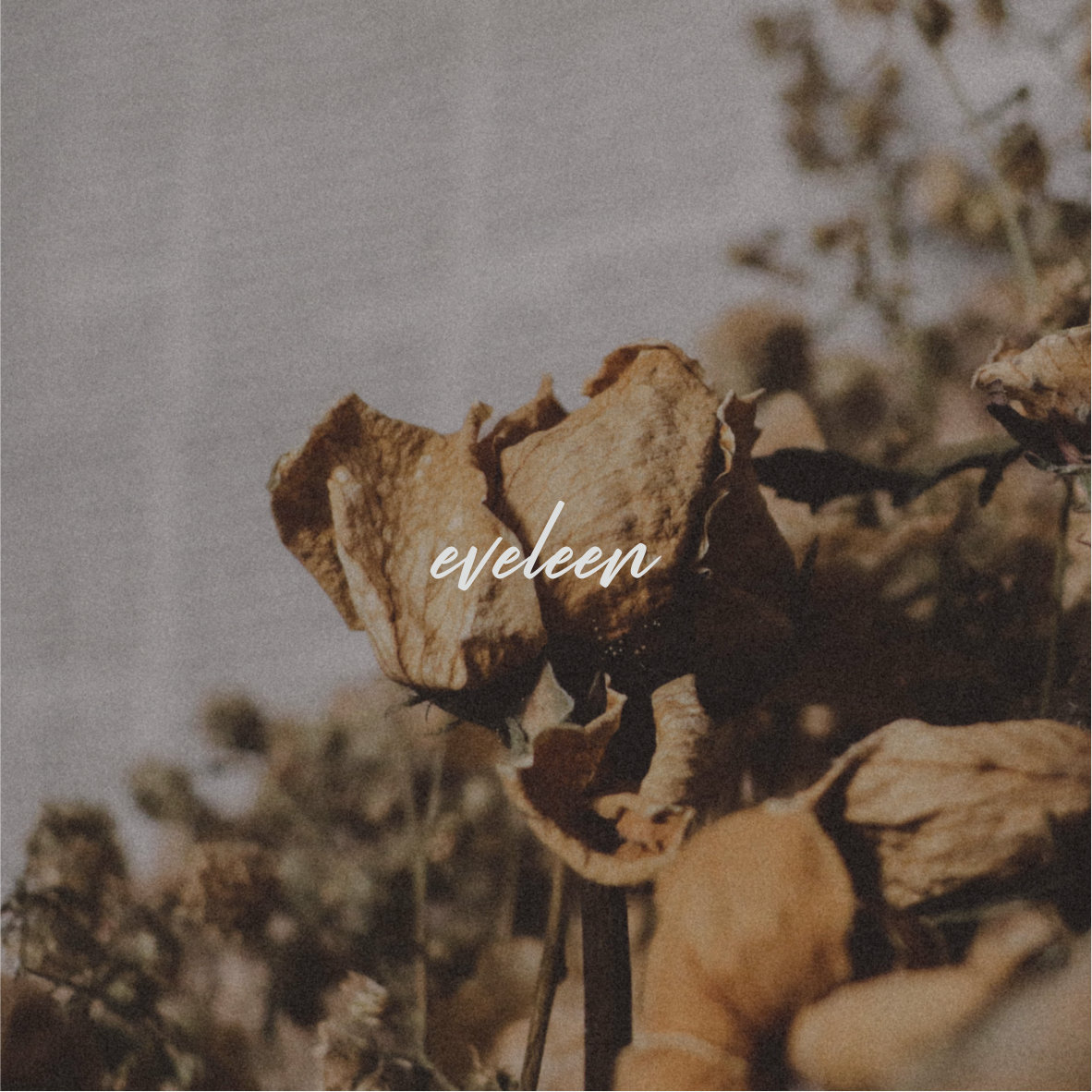 From Me To You | Eveleen