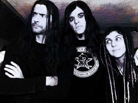 Resurrection | Shellhammer