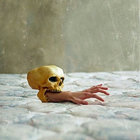 Morphogenesis | Steve Coleman