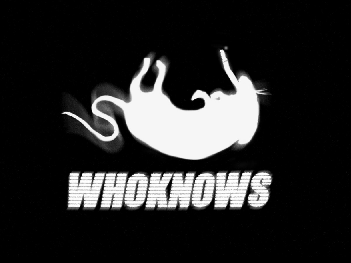 Merch | Who Knows AUS