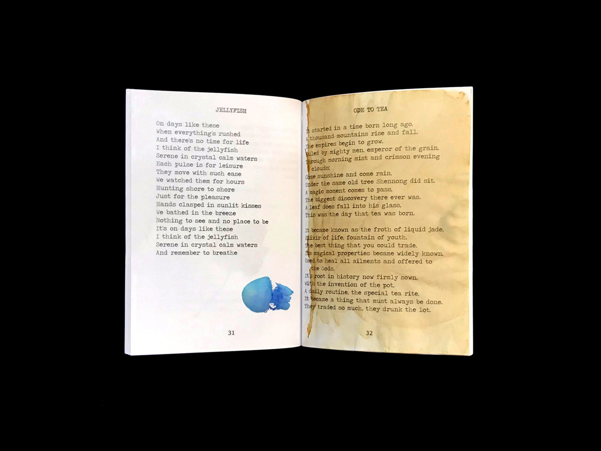 Lost and Found: A Poetry Passport | Colliding Lines