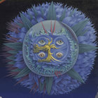 Finding Shore | Tom Rogerson with Brian Eno | Tom Rogerson