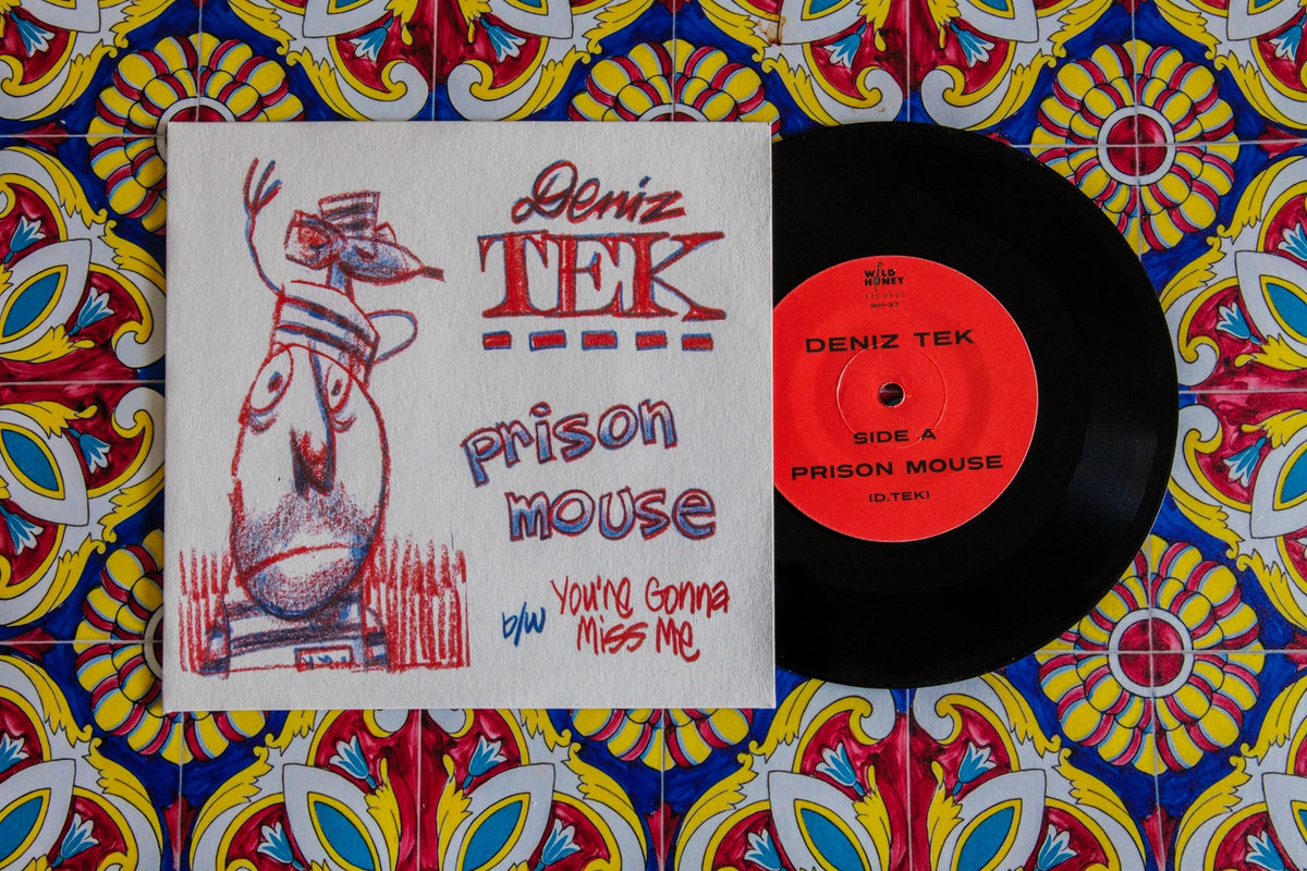 Prison Mouse | Deniz Tek