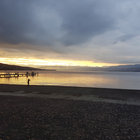 FREE LUTANGU | Bonaventure | PTP