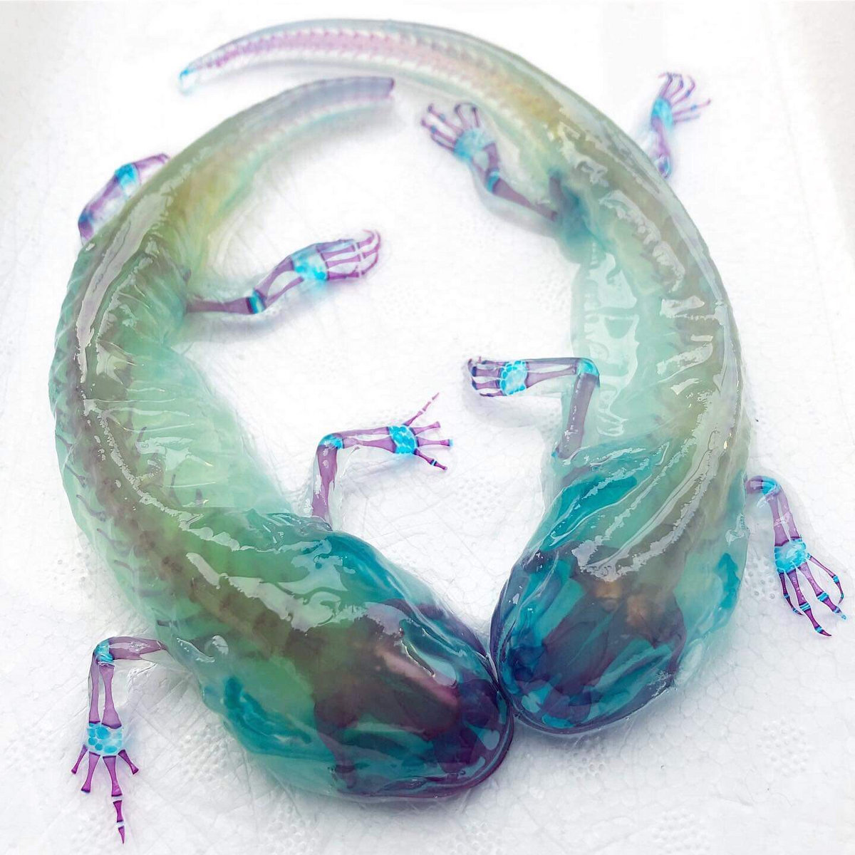 Diaphonized Animals | Diaphonized Animals