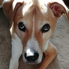 Implode | Front Line Assembly