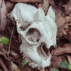 asdfasdf | katie dey